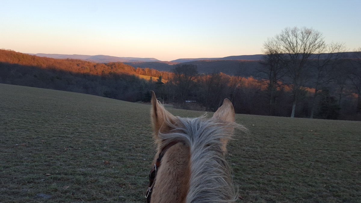 The Last Farm – J.A. Stein